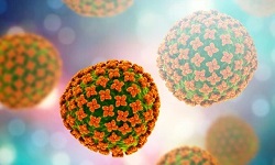 Bunyavirus - Morphology, Classification, Antigen