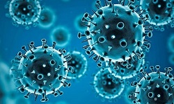 COVID-19, SARS-CoV-2 - Transmission, Incubation, Symptoms ...