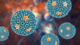 Reovirus - Classification, Morphology, Pathogenesis, Replication, Lab ...